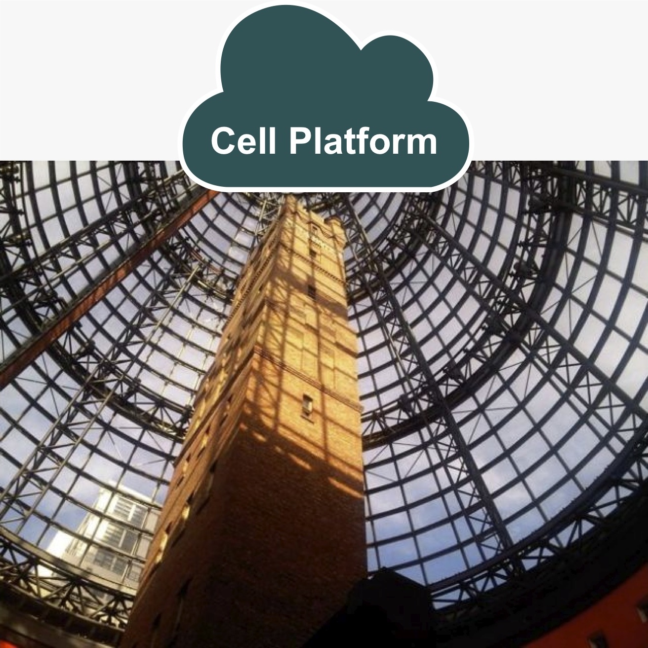 S23M Cell Platform | Jorn Bettin